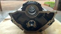 China SBF V8 Engine Block for Ford 302 /351 Small Block Windsor Bare Casting Iron Cylinder Block 4.125 Bore for sale