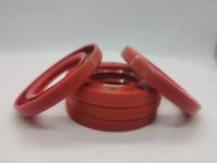 China Tolerance Oil Seal for Press-fit Installation and Standard/Non-standard Compatibility for sale