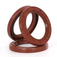 China Hot Selling Framework TC Oil Seal 22 * 32/35/38/40/42/45/47/48/50 * 7/8/10 24 * 35/42/47 * 7 for sale
