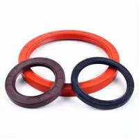 China Factory Customized All Size TC TB TCV TCN CASS COMBI Oil Seal O-Ring Power Steering Gearbox Rubber Oil Seal for sale
