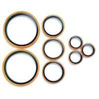 China 3/8 Hydraulic Bonded Sealing Washers 1/2 Bonded Washer Sealings Imperial Diamensions Bonded Seal Washer Stainless Steel for sale