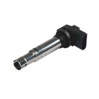 China High Quality Car Ignition Coil 06B905115 for VW Jetta Beetle Passat Golf Audi Bobinas De Encendido for sale