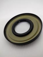 China Get the Best Engine Gaskets And Seals from Hebe Sunwell Parts for Performance for sale