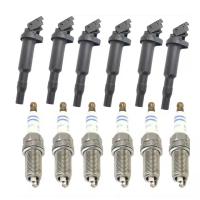 China Ignition Coils & Spark Plugs Set 6PCS Kit 12138647689 12138616153 for BMW 3 5 Series X3 X5 Z4 for sale