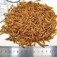 China Bulk Microwave Dried Yellow Mealworms 52% Protein Pet Bird Chicken Fish Feed for sale