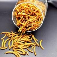 China Dried Yellow Mealworms Tenebrio Molitor Larvae High Protein 52 Pet Bird Hamster Feed for sale