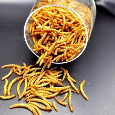 China Dried Yellow Mealworms Tenebrio Molitor Larvae High Protein 52 Pet Bird Hamster Feed for sale