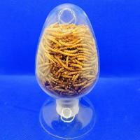 China Dried Yellow Mealworms Bulk 5kg 10kg High Protein Feed for Birds Chickens Fish Hamsters for sale