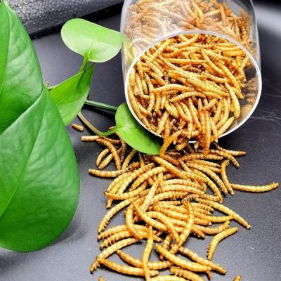 China Natural Dried Yellow Mealworms 52% Protein Bulk Feed for Birds Hamsters Fish Chicken for sale