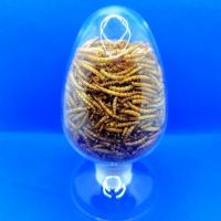 China Dried Mealworms Bulk 5Kg 10Kg High Protein Pet Food for Chickens Birds Hamsters for sale