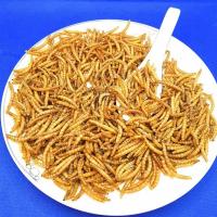 China Tenebrio Molitor Dry Mealworms For Chickens Pets Feed High Protein for sale