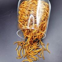 China DM Dried Mealworms 52% Protein Pet Food for Chickens Hamsters Birds Fish 5kg for sale