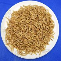 China Pet Food Grade Dried Yellow Mealworms 5Kg 10Kg 15Kg 20Kg High Protein 52% for sale