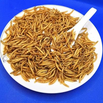 China Dried Yellow Mealworms Larvae Tenebrio Molitor 52% Protein for Pet Poultry Livestock Fish Feed for sale