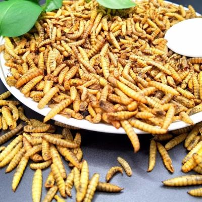 China Bulk Dried Black Soldier Fly Larvae 5Kg 10Kg 15Kg High Protein BSF Insect Feed for sale