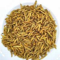 China Bulk Dried Black Soldier Fly Larvae 5Kg 10Kg 15Kg High Protein BSF Insect Feed for sale