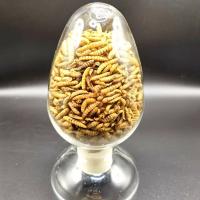 China Dried Black Soldier Fly Larvae 40% Protein 15% Fat for Fish Pet Feed for sale