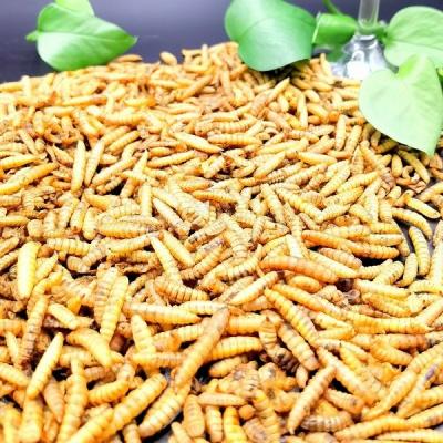 China Dried Black Soldier Fly Larvae 40% Protein 15% Fat for Fish Pet Feed for sale