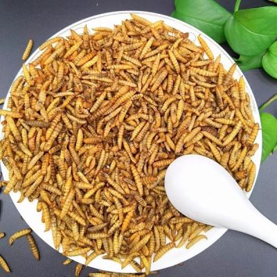 China Microwave Dried Black Soldier Fly Larvae For Pet Bird Chicken Fish for sale