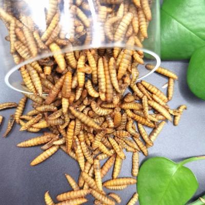 China Dried Black Soldier Fly Larvae 40% Protein 0.9-2.1% Calcium Bulk Feed for Chicken Fish Hamster for sale
