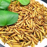 China Dried Black Soldier Fly Larvae 40% Protein 15% Fat for Chickens Birds Pet Fish for sale