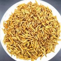China Dried Black Soldier Fly Larvae Bulk 5kg 10kg Reptile Feed High Protein 40% for sale