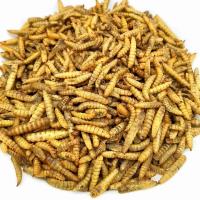China Dried Black Soldier Fly Larvae Bulk 40% Protein 3.6 mg/g Acidity for Pets Feed OEM for sale