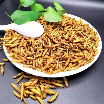 China Dried Black Soldier Fly Larvae Bulk 40% Protein 3.6 mg/g Acidity for Pets Feed OEM for sale