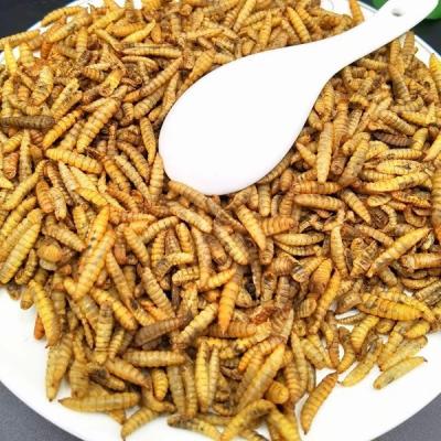 China Dried Black Soldier Fly Larvae 40% Protein Feed for Insectivorous Animals Hedgehogs Birds for sale