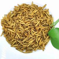 China Dried Black Soldier Fly Larvae Pet Food 40% Protein 15% Fat OEM Packaging for sale
