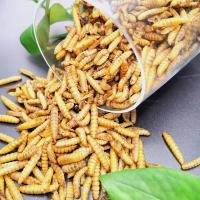 China Dried Black Soldier Fly Larvae 40% Protein High Energy Feed for Fish Birds Pets for sale