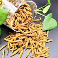 China Dried Black Soldier Fly Larvae 40% Protein Pet Feed for Fish Birds Chickens for sale