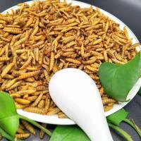 China Natural Dried BSF Maggot Protein / Black Soldier Fly Larvae Fish Feed for sale