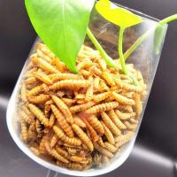 China Natural Dried BSF Maggot Protein / Black Soldier Fly Larvae Fish Feed for sale