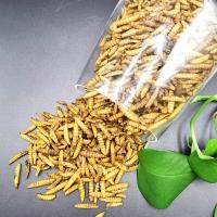 China Dried BSF Black Fly Soldier Larvae Poultry Feed High Protein for sale
