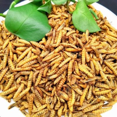 China Dried Black Soldier Fly Larvae 40% Protein Insectivorous Pet Feed for Frogs Birds Fish for sale