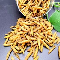 China Dried Black Soldier Fly Larvae 40% Protein Insectivorous Pet Feed for Frogs Birds Fish for sale