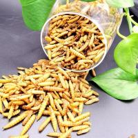 China Dried Black Soldier Fly Larvae 40% Protein for Turtle Lizard Fish Bird Food for sale