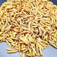 China Dried Black Soldier Fly Larvae 40% Protein High Calcium Feed for Pets Reptiles Birds Fish for sale