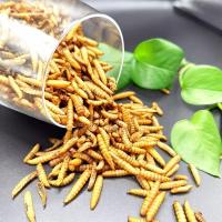 China Dried Black Soldier Fly Larvae 40% Protein High Calcium Feed for Pets Reptiles Birds Fish for sale
