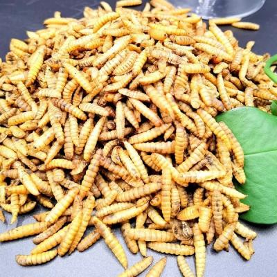 China Dried Black Soldier Fly Larvae 40% Protein High Energy Feed for Poultry Reptiles Fish Birds for sale