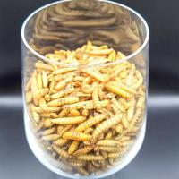 China Dried Black Soldier Fly Larvae 40% Protein High Energy Feed for Poultry Reptiles Fish Birds for sale