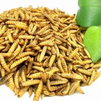 China Dried Black Soldier Fly Larvae 40% Protein High Energy Feed for Fish Birds Pets for sale