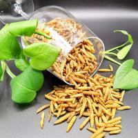 China Black Soldier Fly Maggots Bulk 5Kg 10Kg Microwave Dried Dehydrated for sale