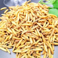 China High Protein Microwave Dried BSF Larvae For Pets Bird Reptiles Fish for sale