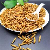 China High Protein Microwave Dried BSF Larvae For Pets Bird Reptiles Fish for sale