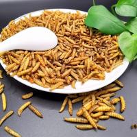 China Dried Black Soldier Fly Larvae 40% Protein Feed for Chickens Fish Birds Hamsters for sale