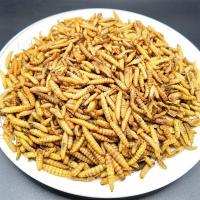 China Dried Black Soldier Fly Pupa Larvae 40% Protein 13% Fat for Chicken Fish Bird Feed for sale