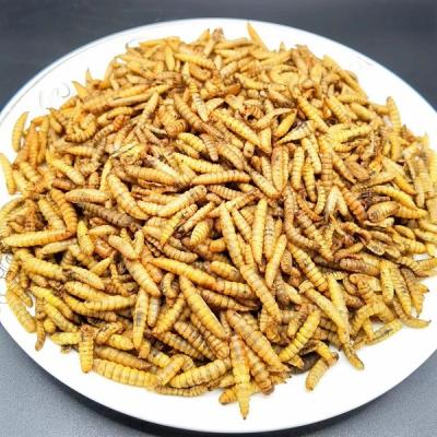 China Dried Black Soldier Fly Pupa Larvae 40% Protein 13% Fat for Chicken Fish Bird Feed for sale