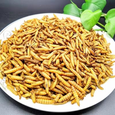 China Dried Black Soldier Fly Larvae 40% Protein High Fat Feed for Bird Fish Poultry Insectivorous Animals for sale